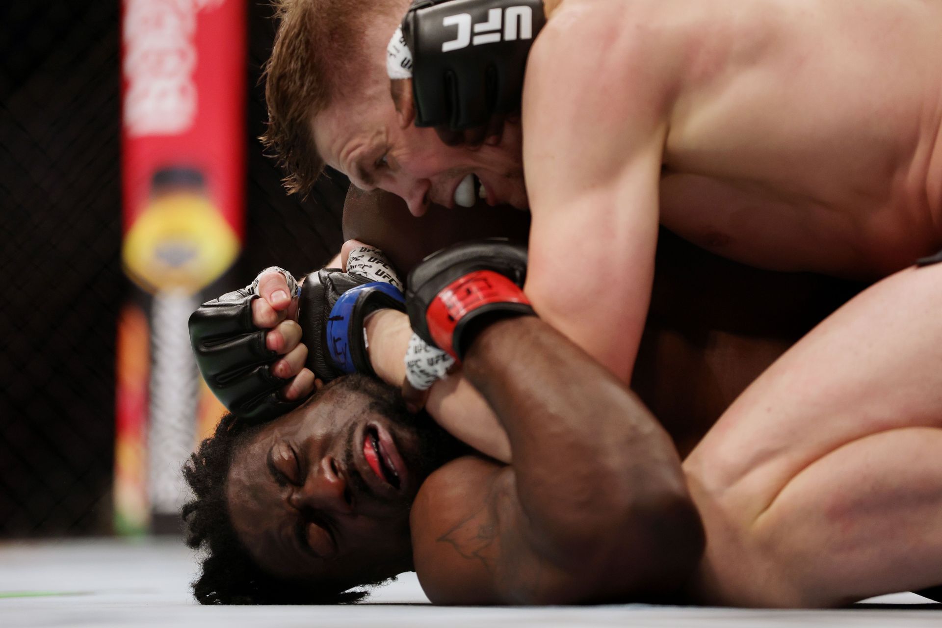 William Knight Stats, News, Bio & More