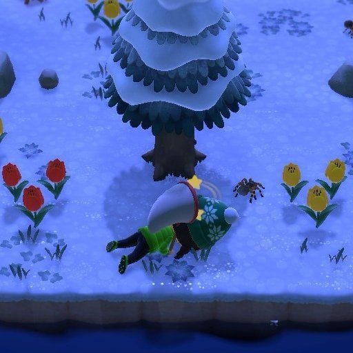 How to catch a tarantula in Animal Crossing: New Horizons