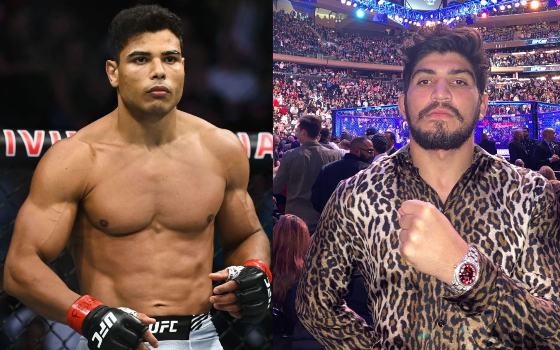 UFC: Middleweight contender labels Paulo Costa as "Dillon Danis of UFC ...