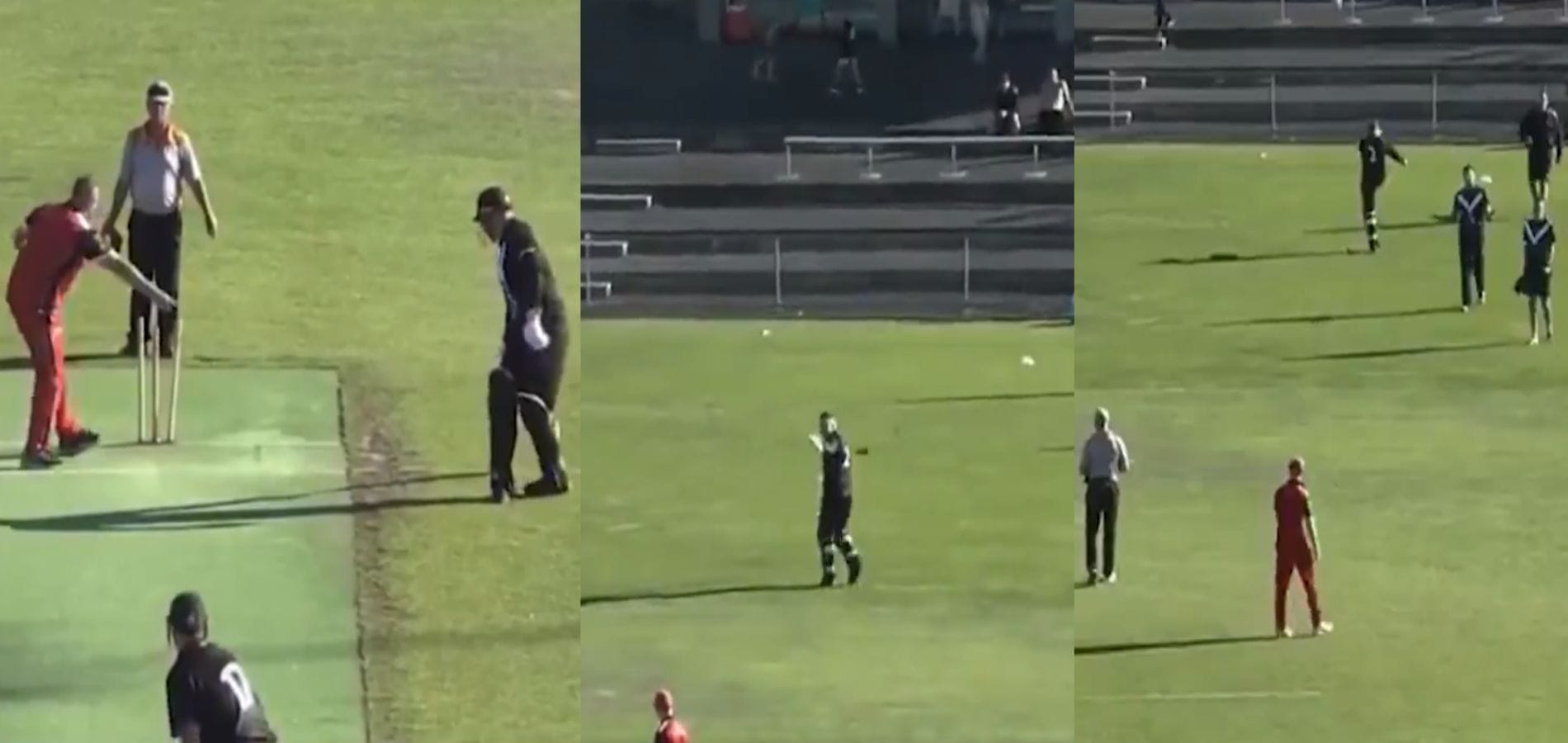 [Watch] Furious Tasmanian cricketer throws bat, kicks gloves after ...