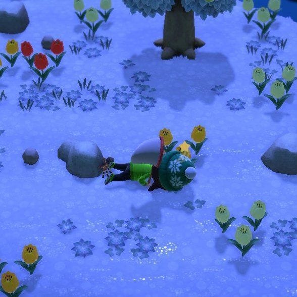 How to catch a tarantula in Animal Crossing: New Horizons