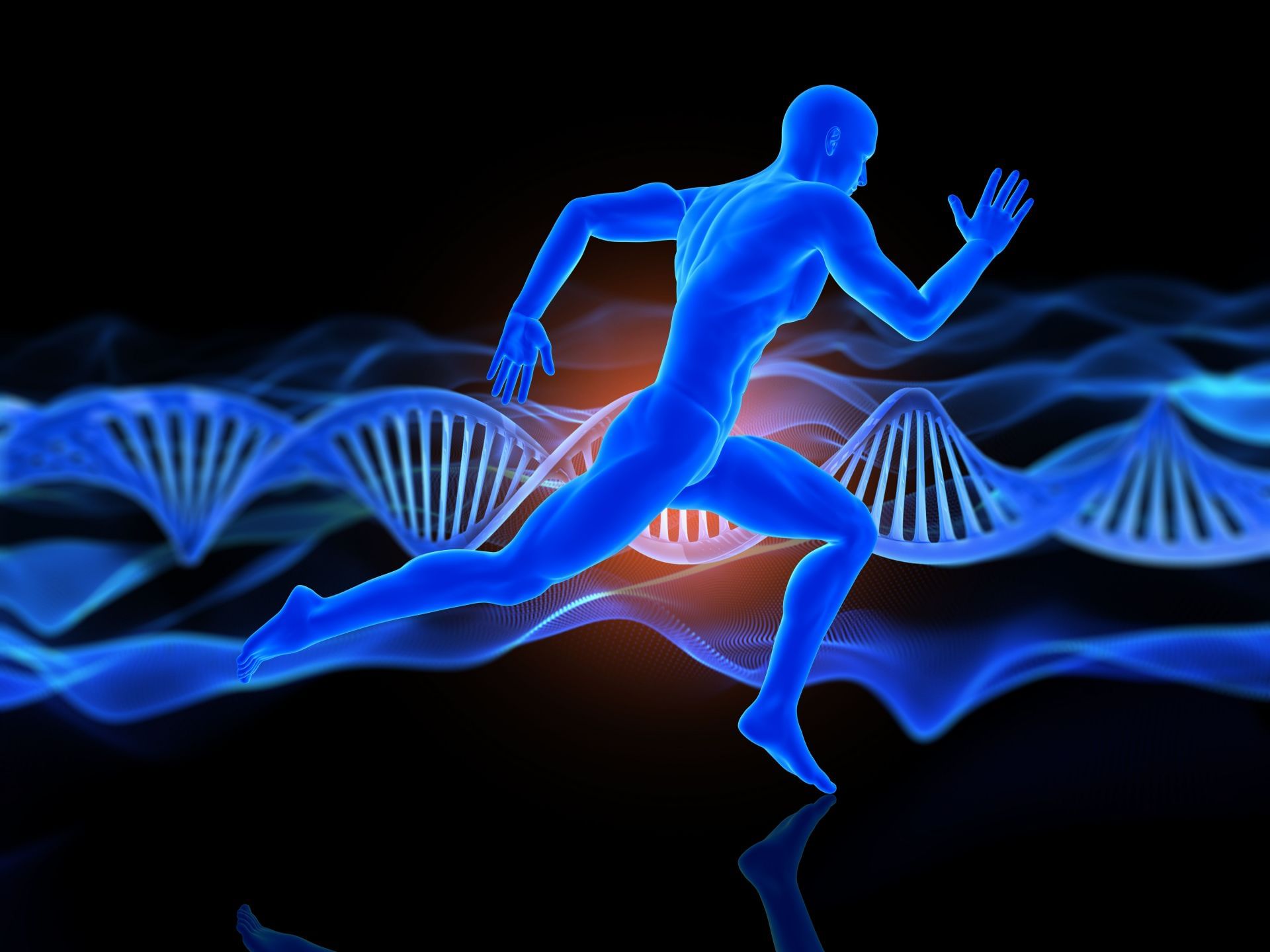 Unlocking genetics: Enabling the athlete's inborn capacity
