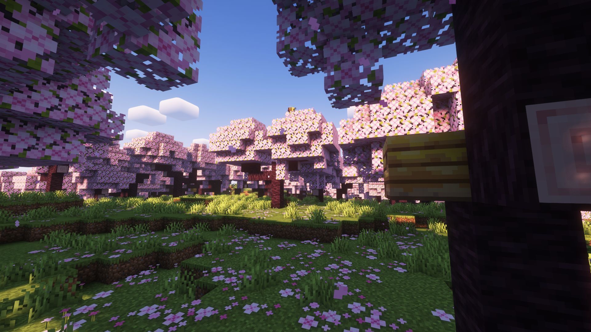 How to find cherry grove biome in Minecraft 1.20 Trails & Tales update