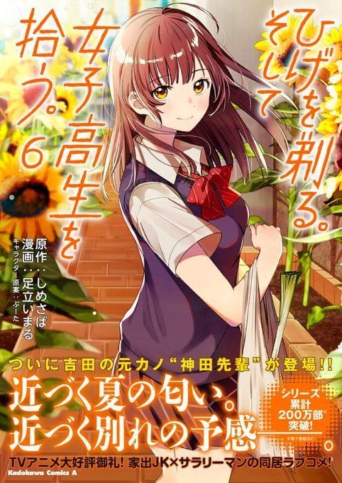 The ending of Higehiro manga, explained