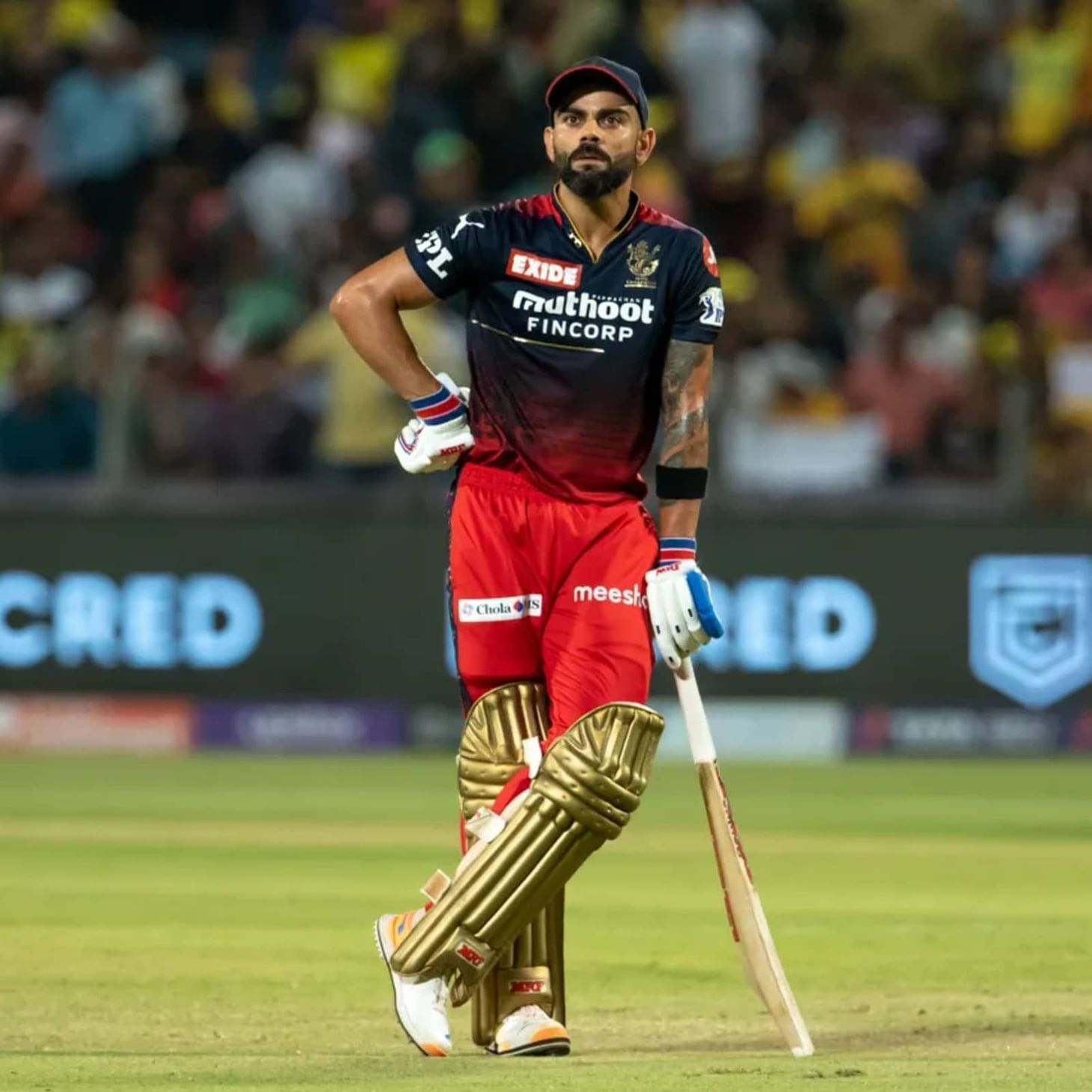 Virat Kohli IPL Career: Wickets, Runs, Records, Age, Price, Team 2023