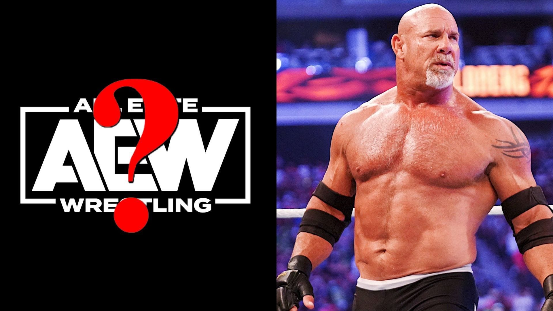 WWE veteran wants Goldberg to revisit a 2-decade-old feud if he signs ...