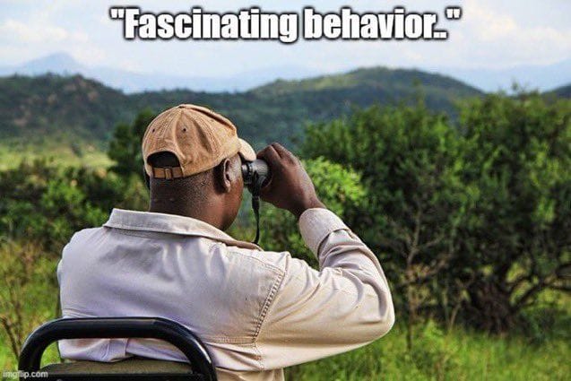 "Tragic bronson alert"- NBA fans are losing their minds after Mavericks ...