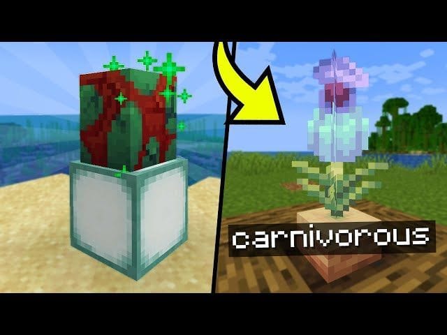 5 best features in Minecraft Preview 1.20.0.20