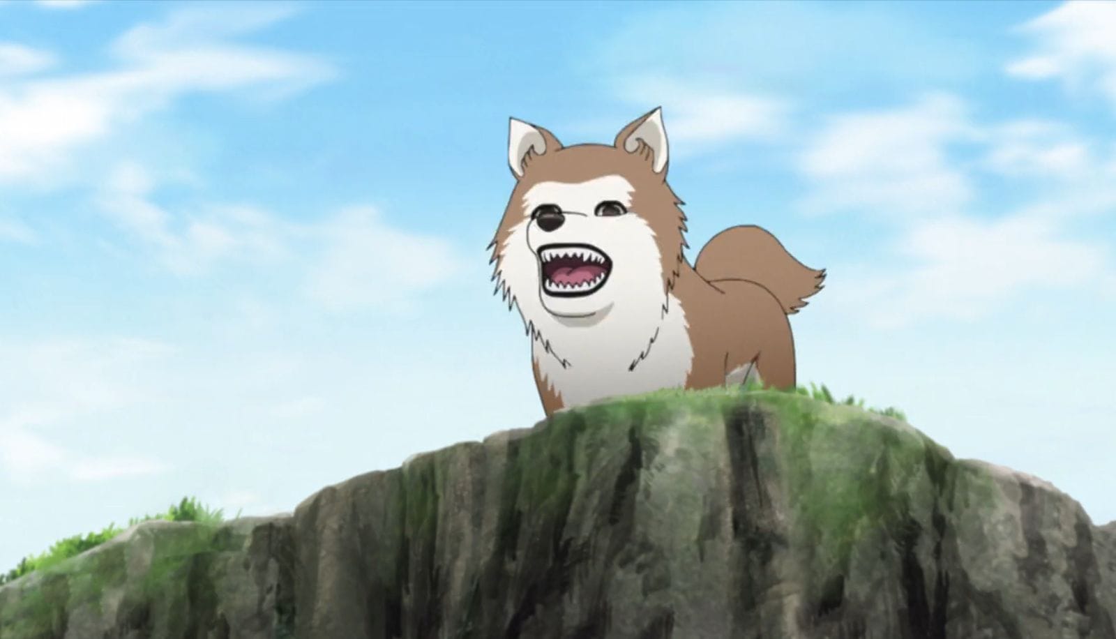 Who is Chamau in Naruto?