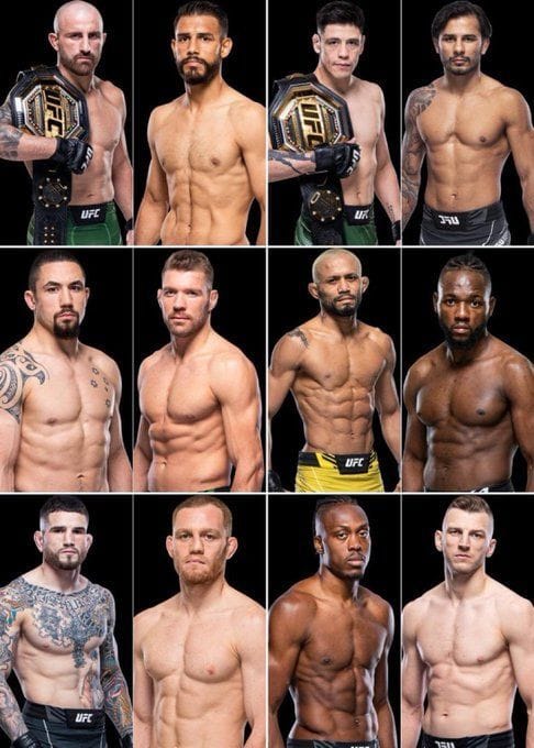 UFC 290: ‘Absolutely stacked’ - Fans ecstatic for UFC 290’s action ...
