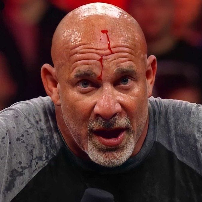 "This will make Vince and HHH cry" - Fans react to former WWE World ...