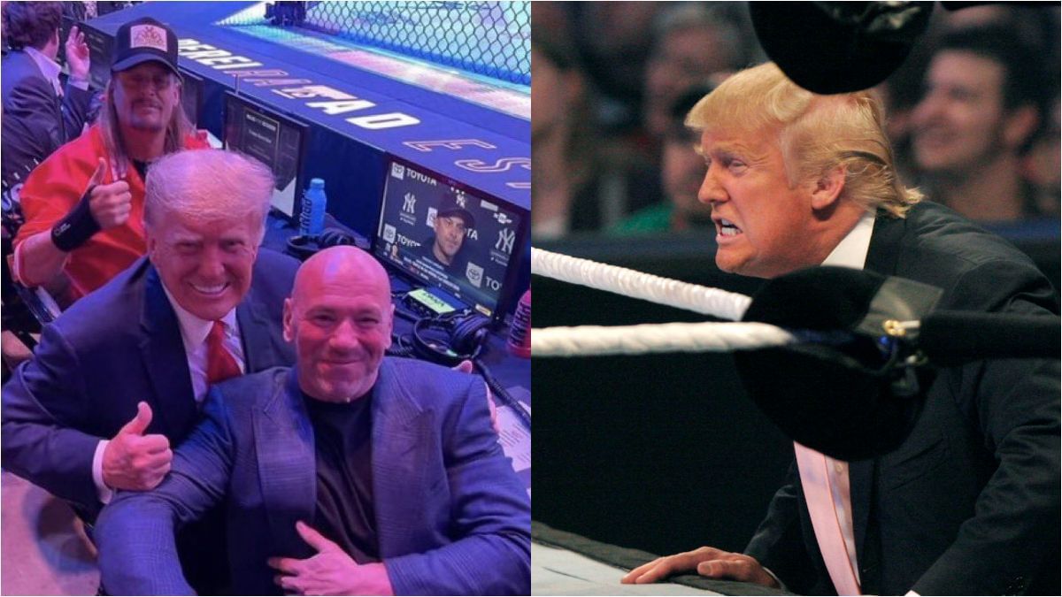 "The 4 Harassmen," "Hushmoney INC" - Fans go wild as Donald Trump ...