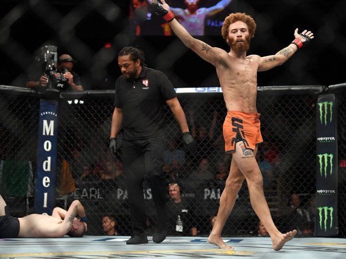 Ex-UFC fighter released due to domestic abuse allegations gets finished ...