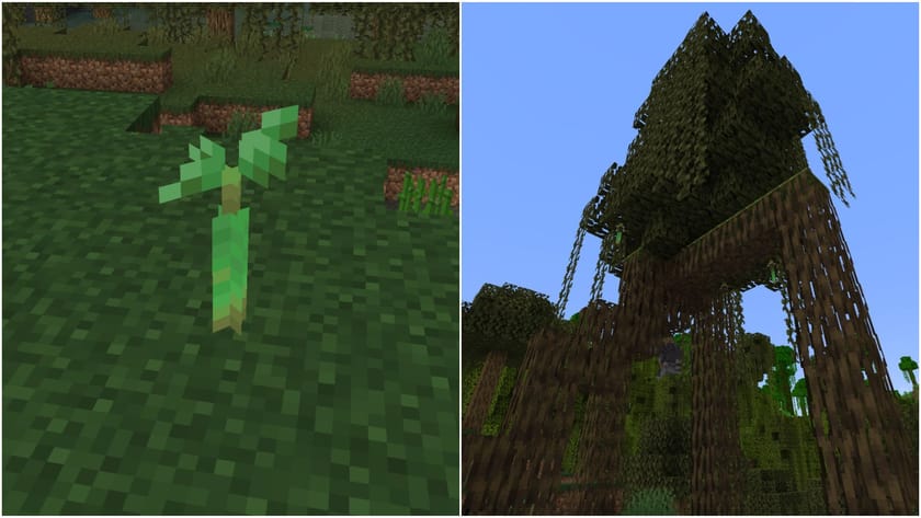 How to grow mangrove trees in Minecraft (2023)