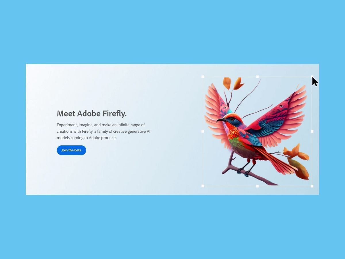 How to use Adobe Firefly to generate AI art