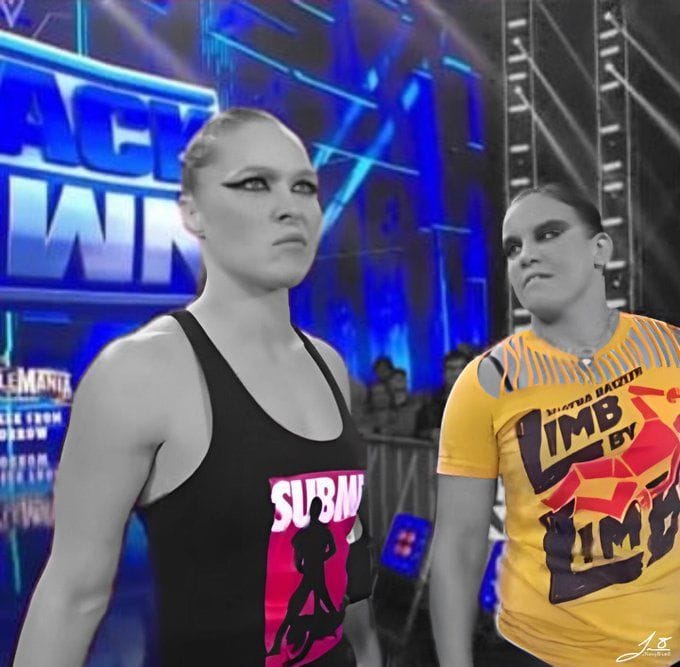 "This is the bathroom break" - WWE Superstar on Brock Lesnar ending The ...