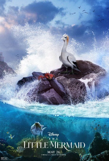The Little Mermaid fans unimpressed with "lifeless and dull" poster ...