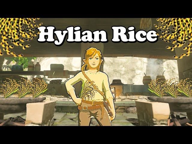 Hylian Rice: Where to find Hylian Rice in The Legend of Zelda Tears of ...