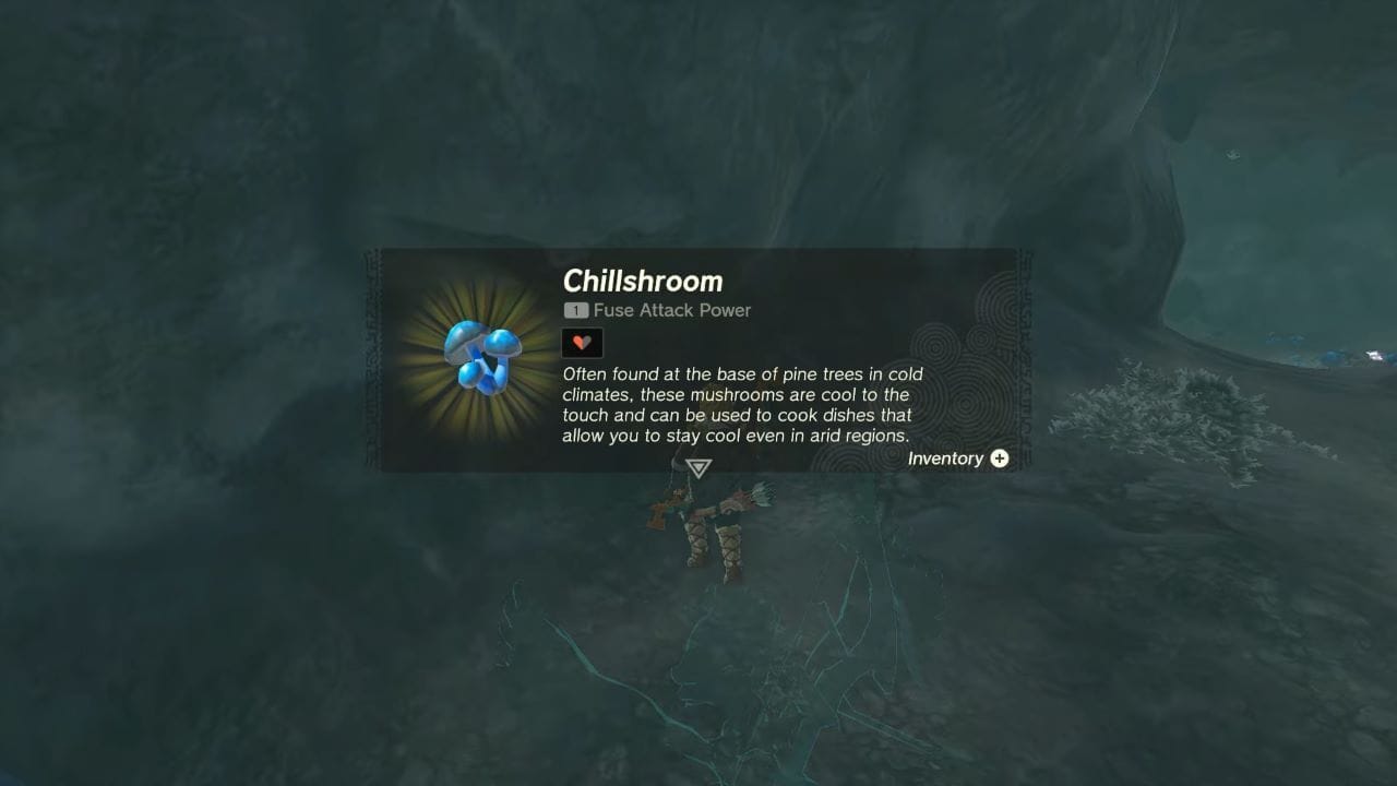 How to complete Crossing the Cold Pool Side Quest in The Legend of ...