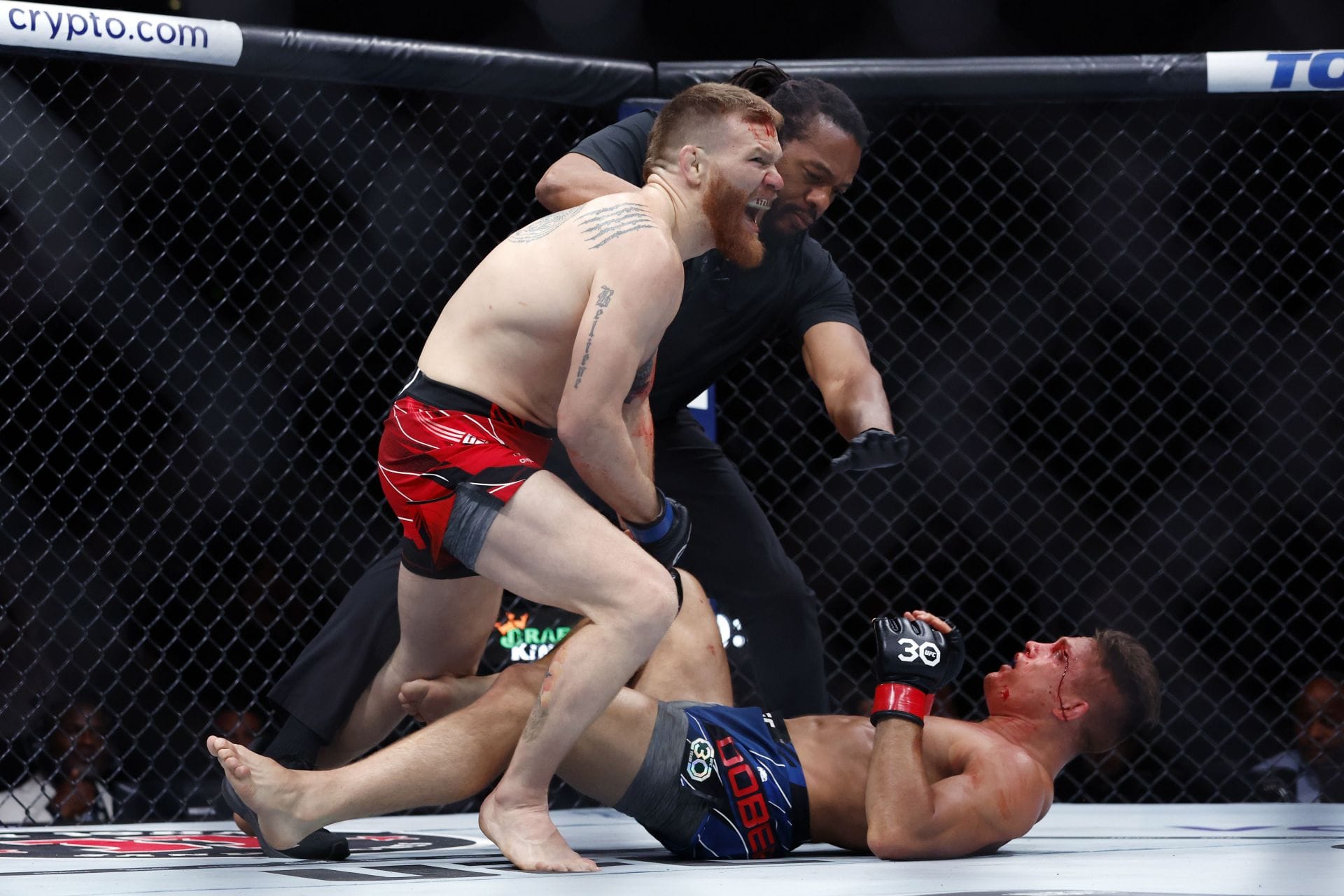 Drew Dober Stats, News, Bio & More