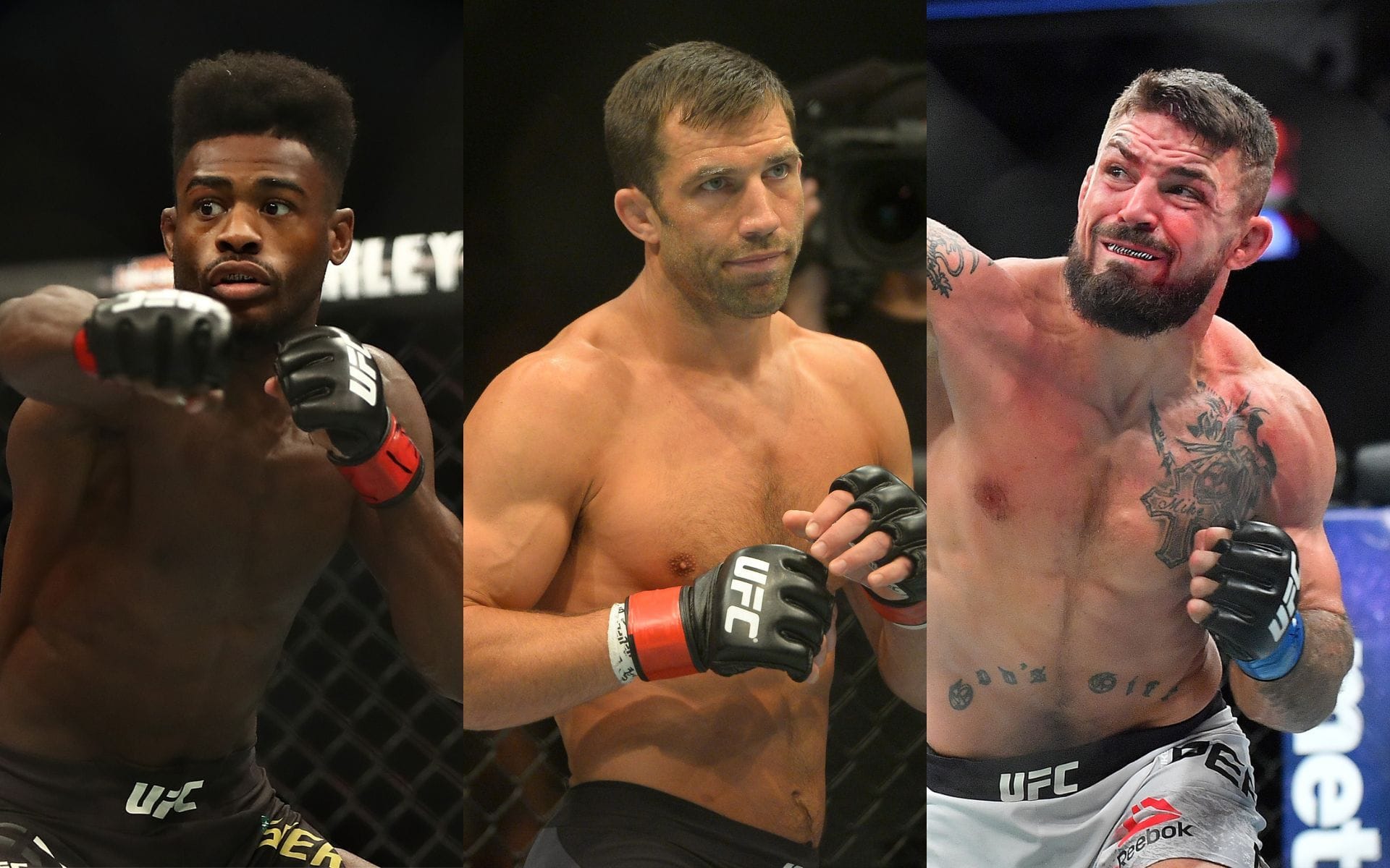 Luke Rockhold vs. Mike Perry: Aljamain Sterling responds to a fan ...