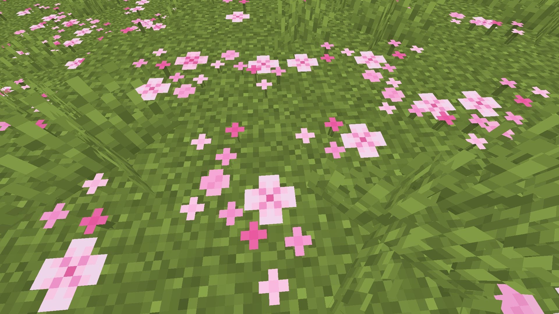 5 things to know about cherry groves in Minecraft 1.20 update