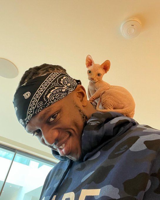 "Got a b*llsack on his neck" - KSI gets trolled after revealing his new cat on Twitter