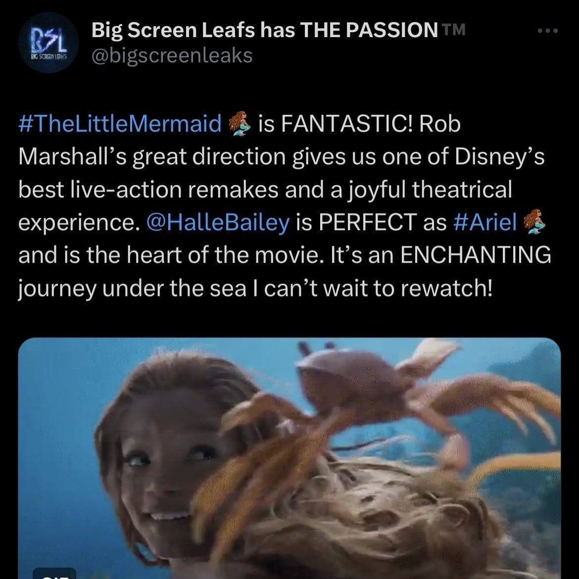 "Halle got the last laugh": Twitter erupts as The Little Mermaid first ...