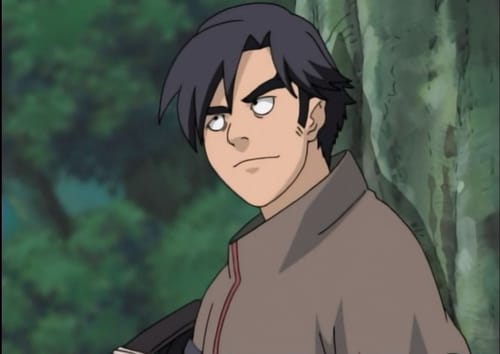 Who is Sazanami Senka in Naruto?