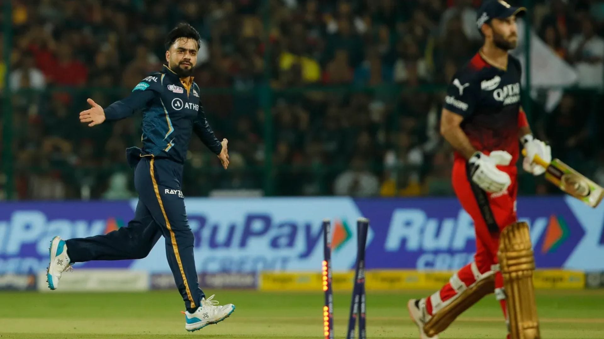 "Rashid Khan is a player from a different league"- Harbhajan Singh on ...