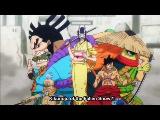 Who is Kikunojo in One Piece?