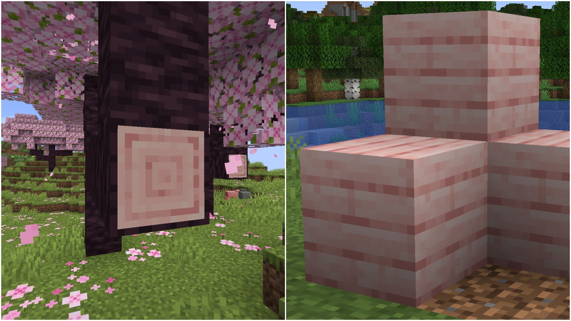 5 things to know about cherry groves in Minecraft 1.20 update