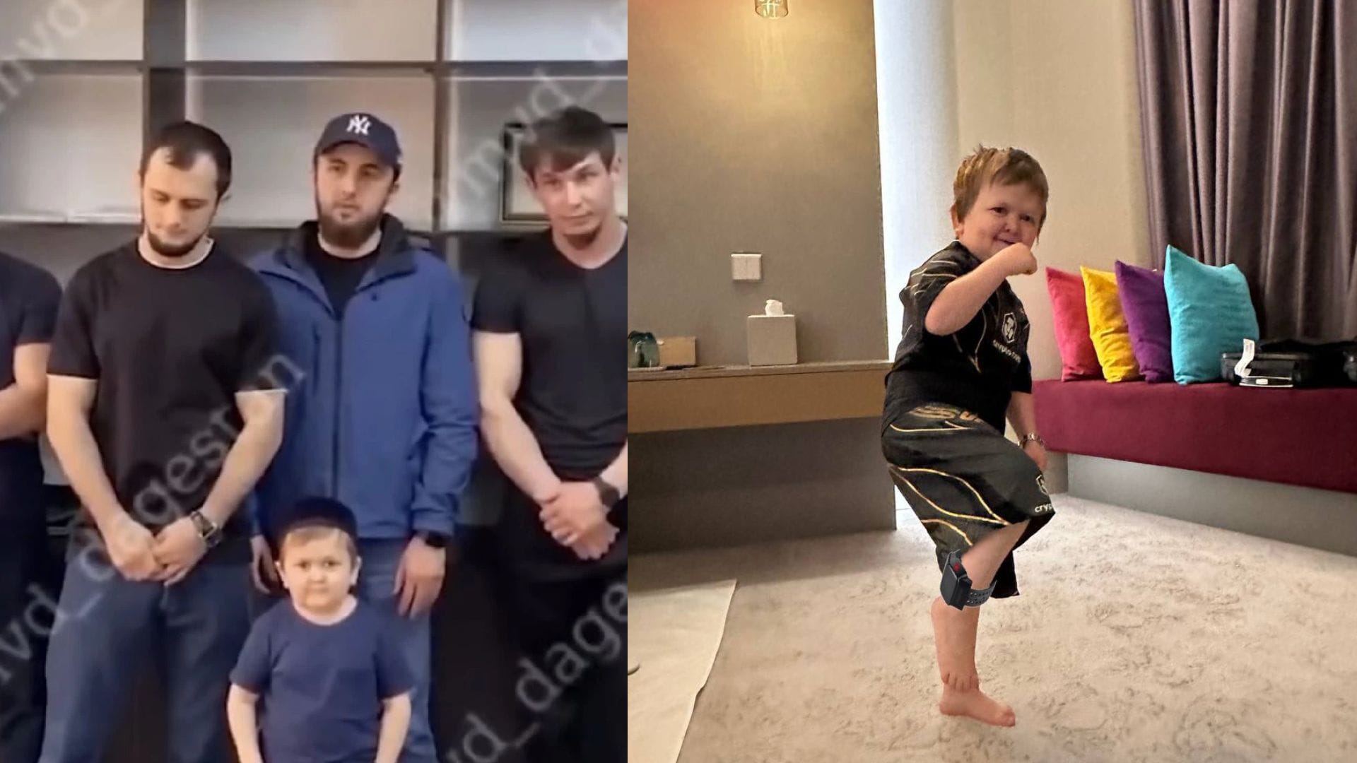 "Can't keep the GOAT down": Fans react as Hasbulla gets released to ...