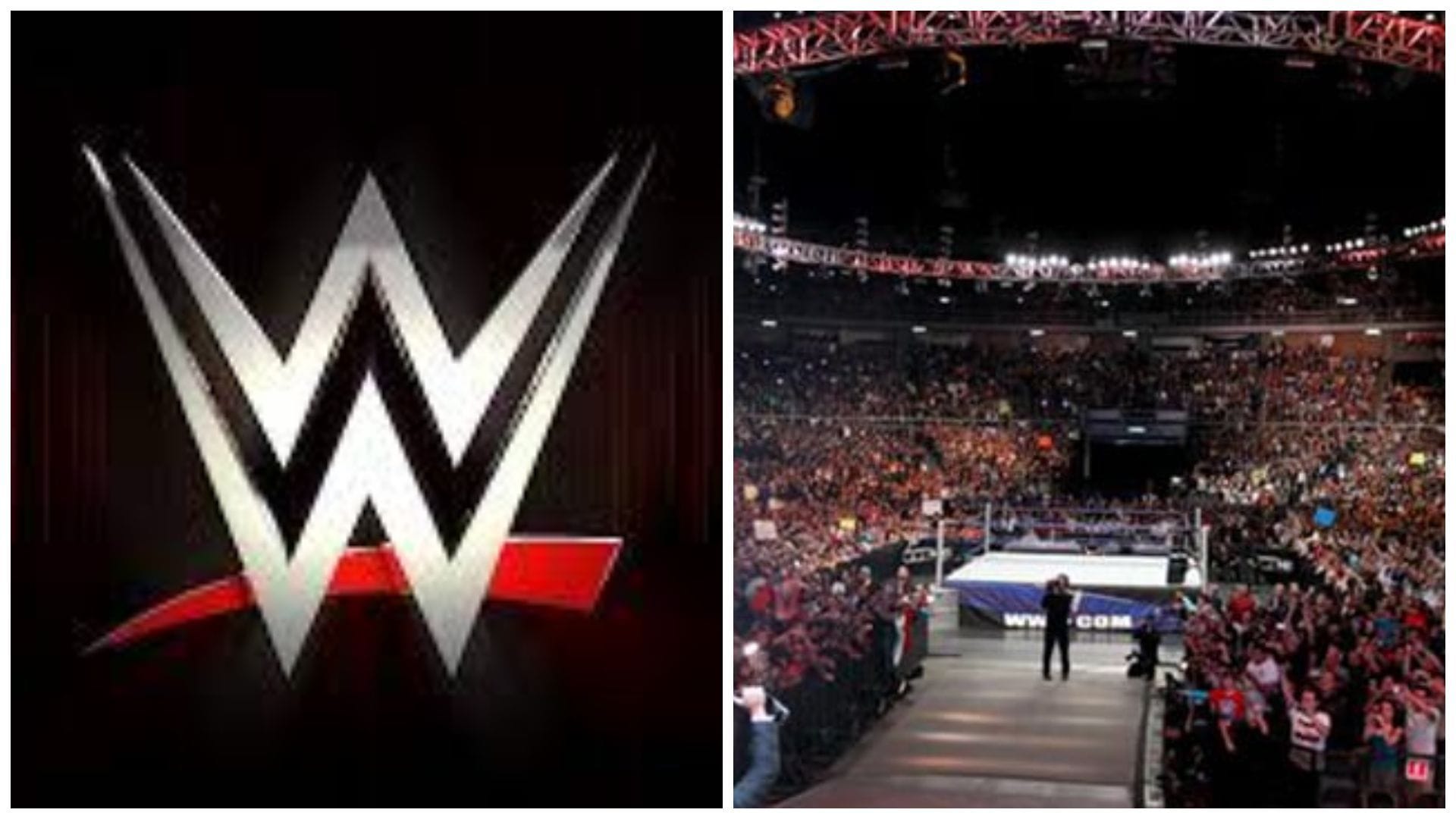 WWE have "barely scratched the surface" with 43-year veteran, according ...