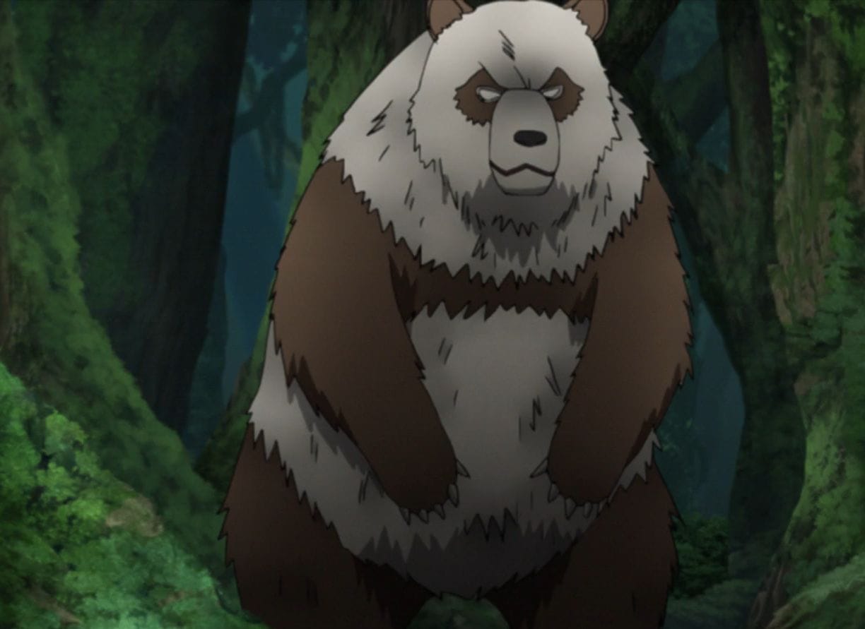 Who is Kuma Panda in Naruto?