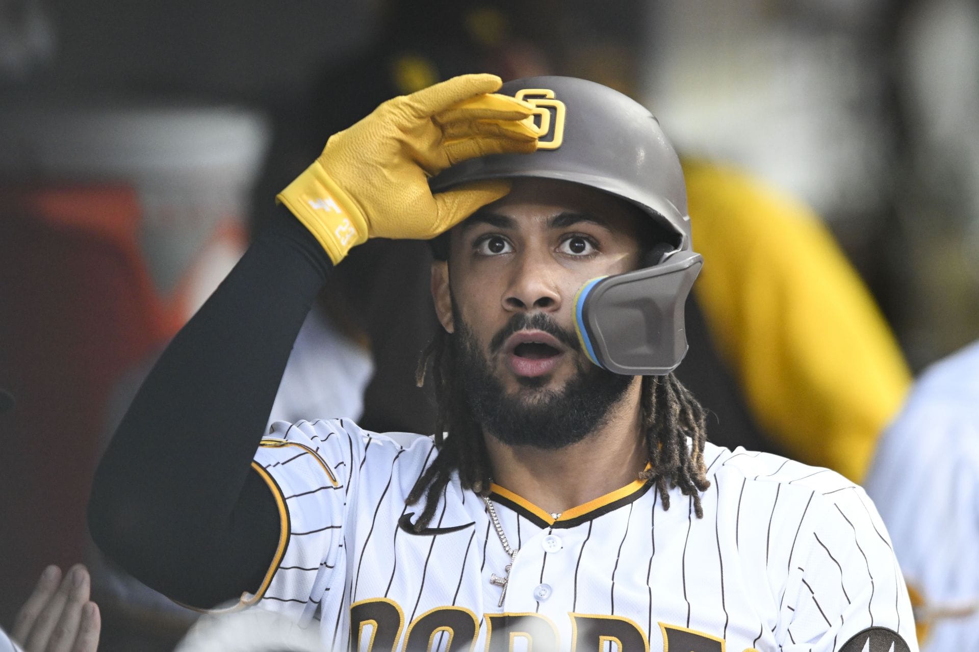 MLB Twitter roasts Fernando Tatis Jr. for sporting new Dior Jordan 1 ...