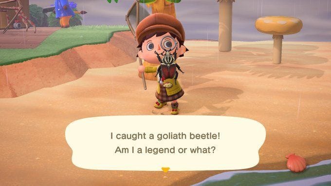 Where to find the Goliath Beetle in Animal Crossing New Horizons