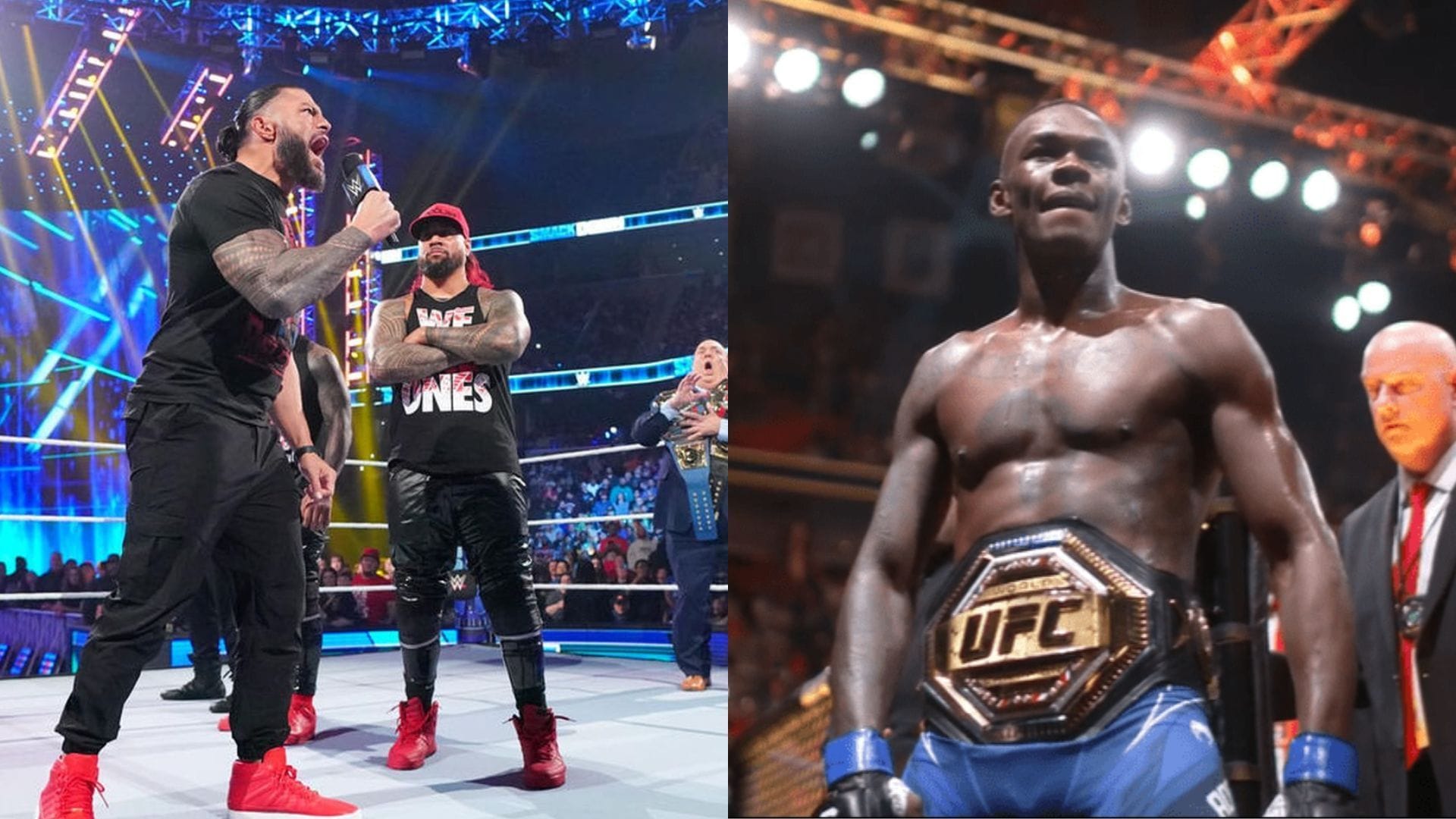 "Be sure to have him acknowledge The Tribal Chief" - Bloodline member ...