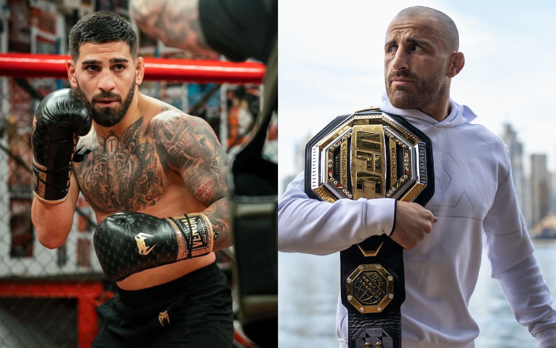 "Everyone’s raving on about this guy" - Alexander Volkanovski comes ...