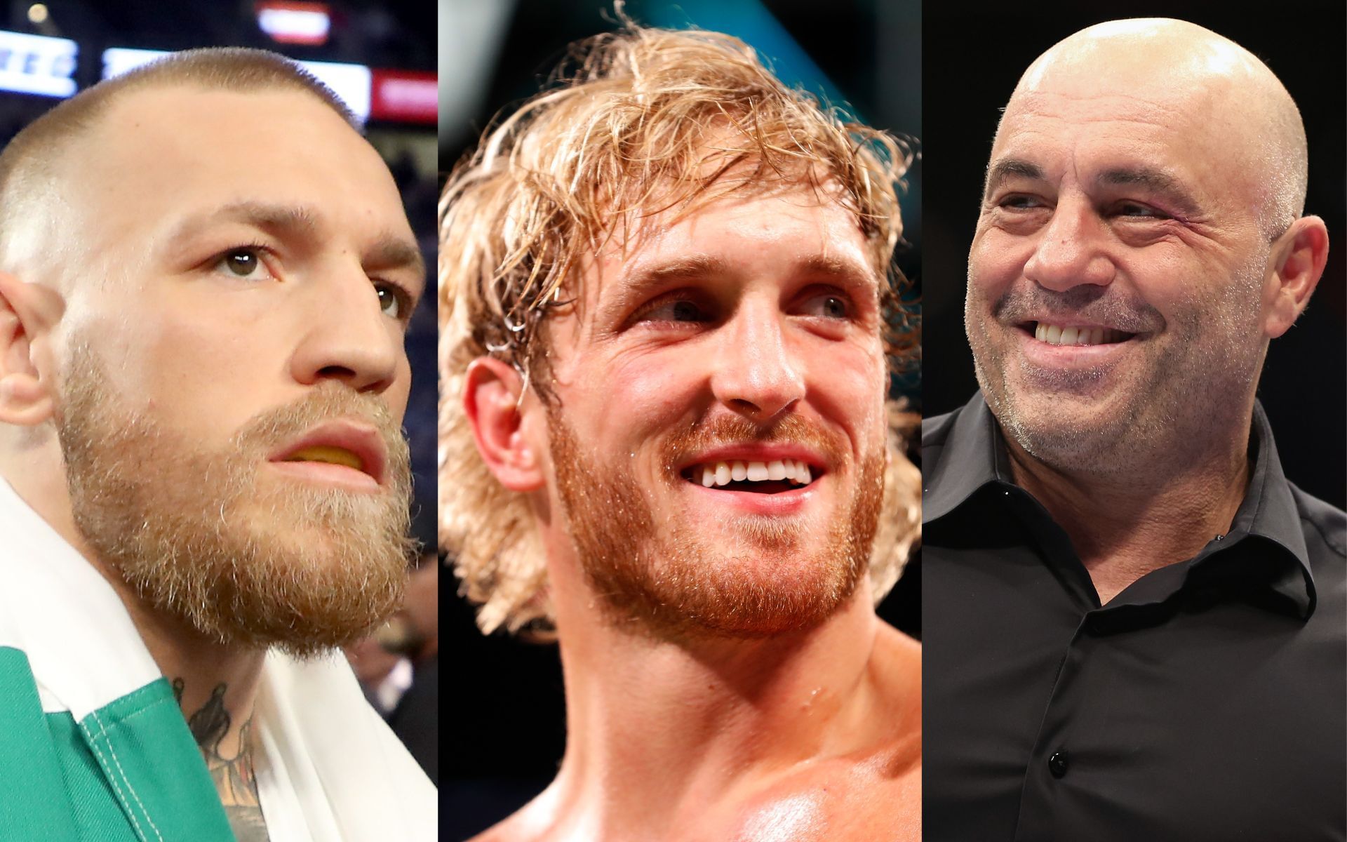 "I'd f**k Joe Rogan up" - Logan Paul weighs in on his chances in ...