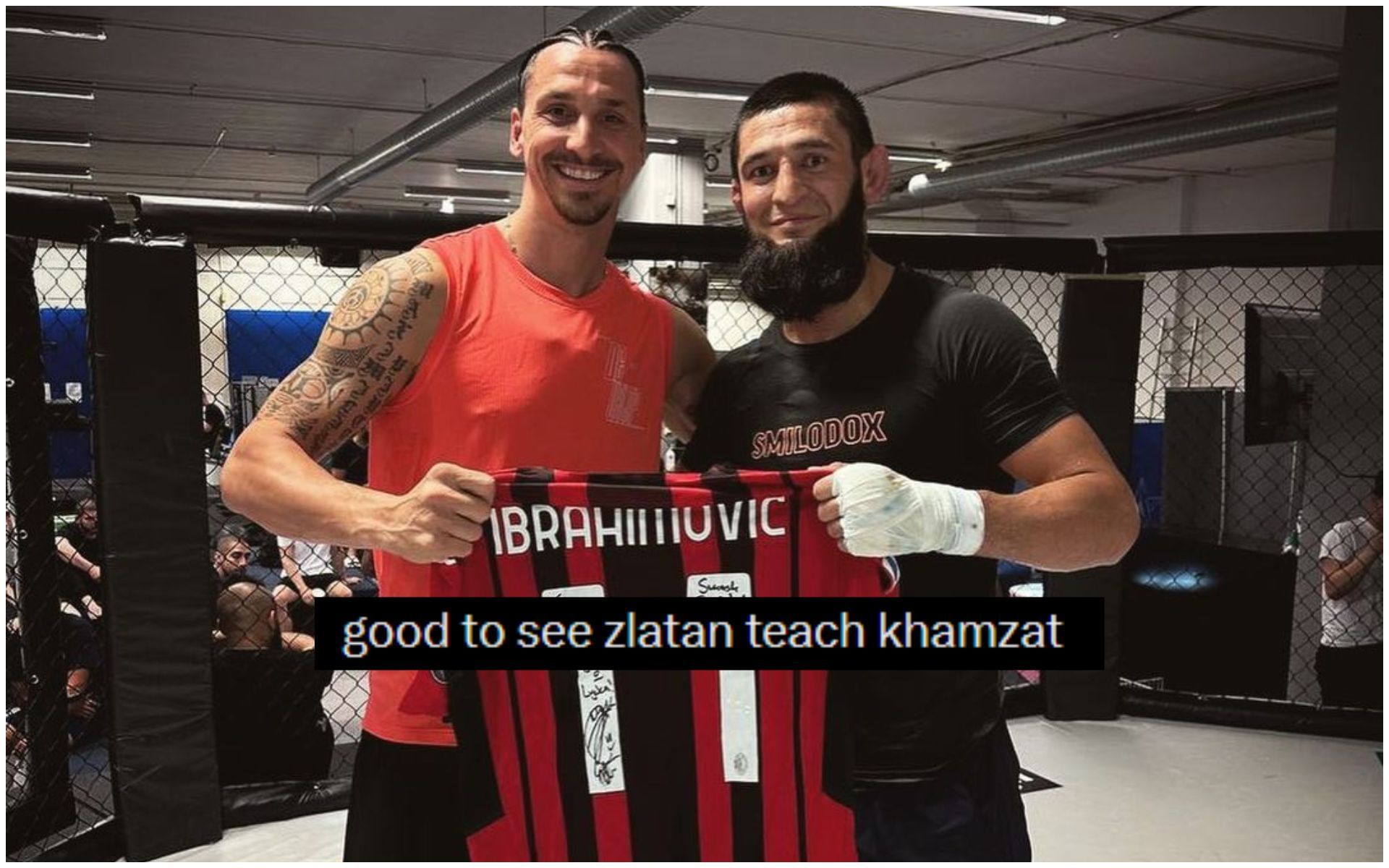 Khamzat Chiamev Zlatan Ibrahimovic: "Wolf & Lion", "Smash everybody ...