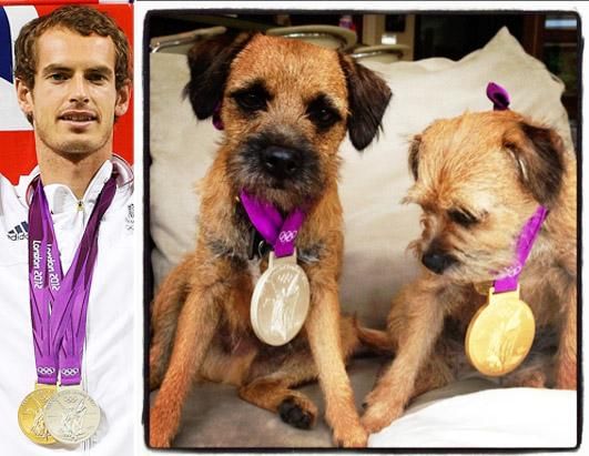 Serena's Gangster dance, Andy Murray's Olympic Medal Dogs - Tennis ...