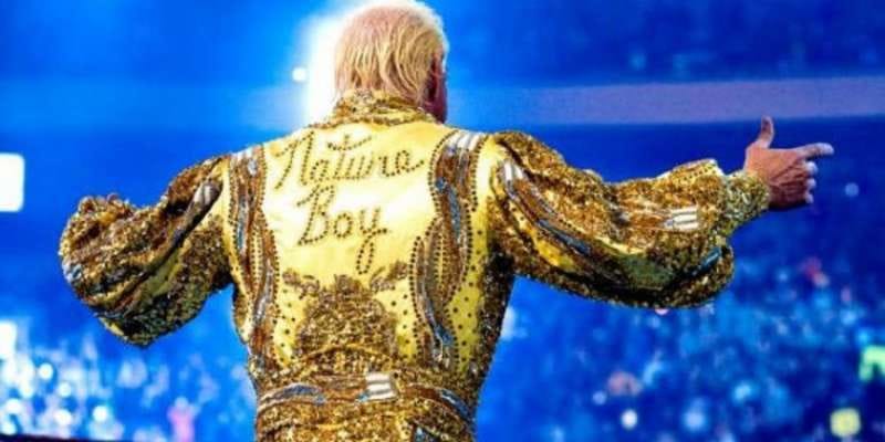 50 best WWE costumes of all time